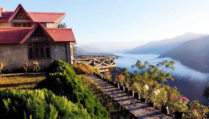 About Mangwa - NatureWings