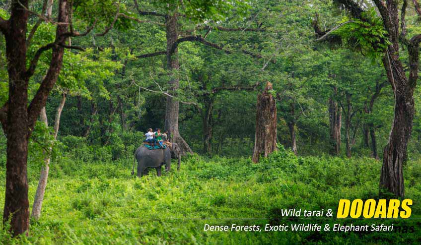 Dooars Package Tour, Dooars Tour Package, Dooars Tour Plan, Dooars ...