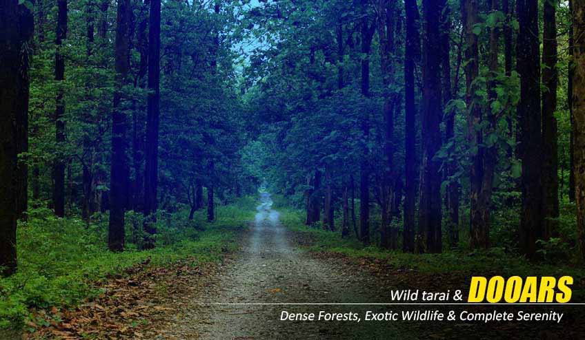 Dooars Package Tour, Dooars Tour Package, Dooars Package Tour from ...