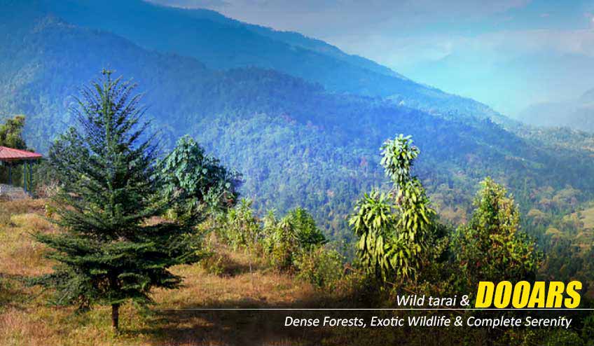 Dooars Package Tour from Siliguri, Dooars Tour Packages From NJP ...