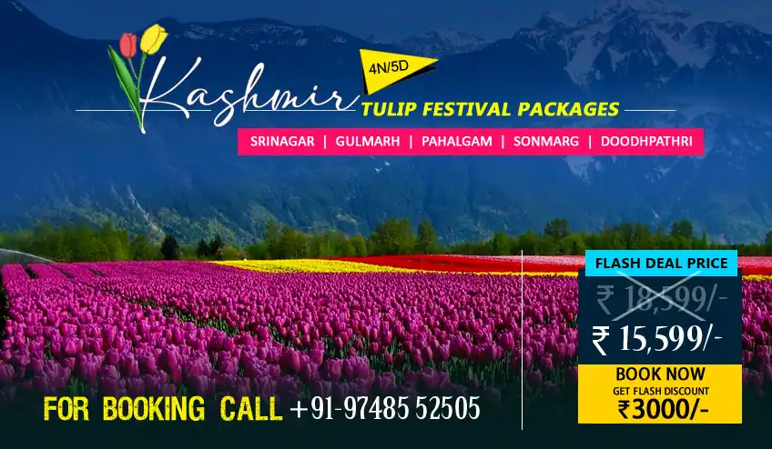 Kashmir Tulip Festival Package Tour, Kashmir Tulip Festival Tour Packages