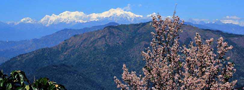 Lava Lolegaon Rishop Package Tour, Lava Lolegaon Rishop Kalimpong ...