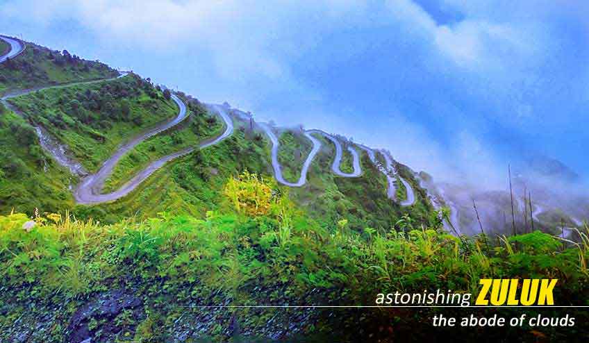 Zuluk, Zuluk Tour, Zuluk Package, Zuluk Homestay, Zuluk Sightseeing - NatureWings