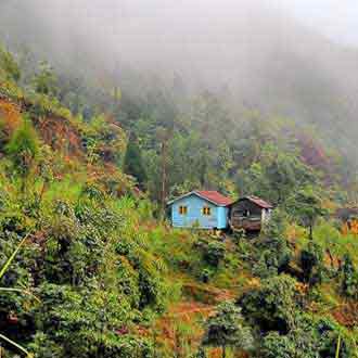 Sitong Tour, Sittong Tour, Sitong Package Tour, Sitong Tour Packages ...