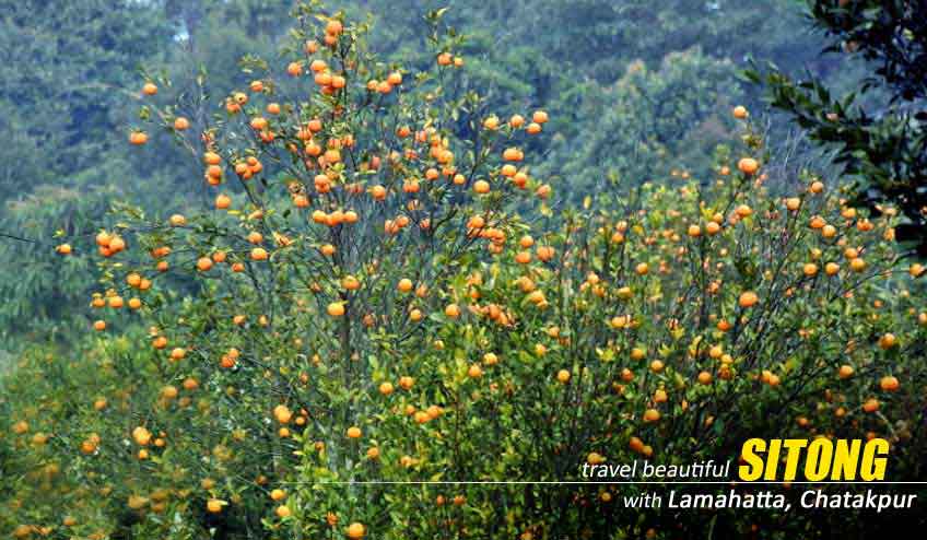 Sitong Tour, Sittong Tour, Sitong Package Tour, Sitong Tour Packages ...