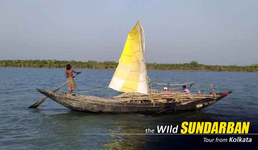 Sundarban Package Tour, Sundarban Package Tour from kolkata, Sundarban Tour Packages - NatureWings