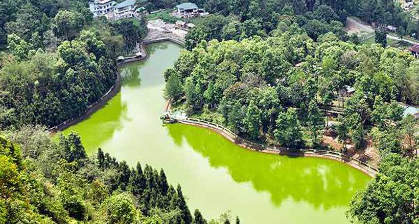 About Aritar, Zuluk - NatureWings